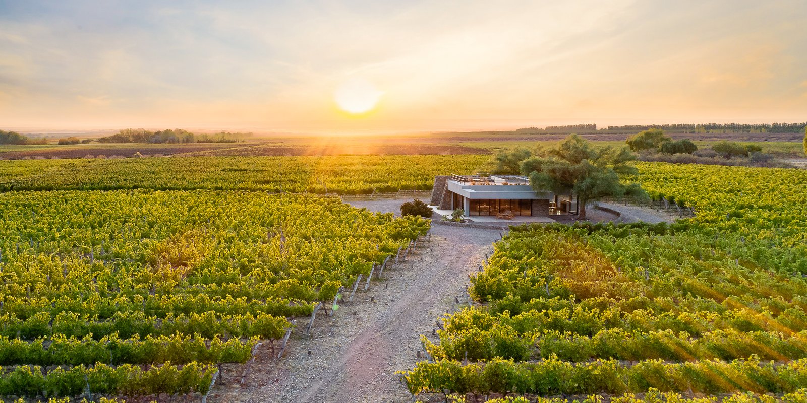 Paul Hobbs busca su Grand Cru mendocino